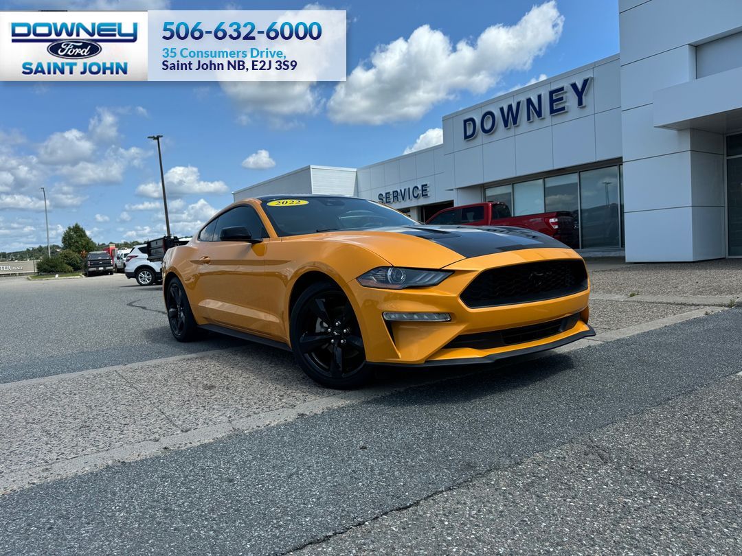 Used 2022 Ford Mustang EcoBoost #15196TJ Saint John, NB | Downey Ford Saint John