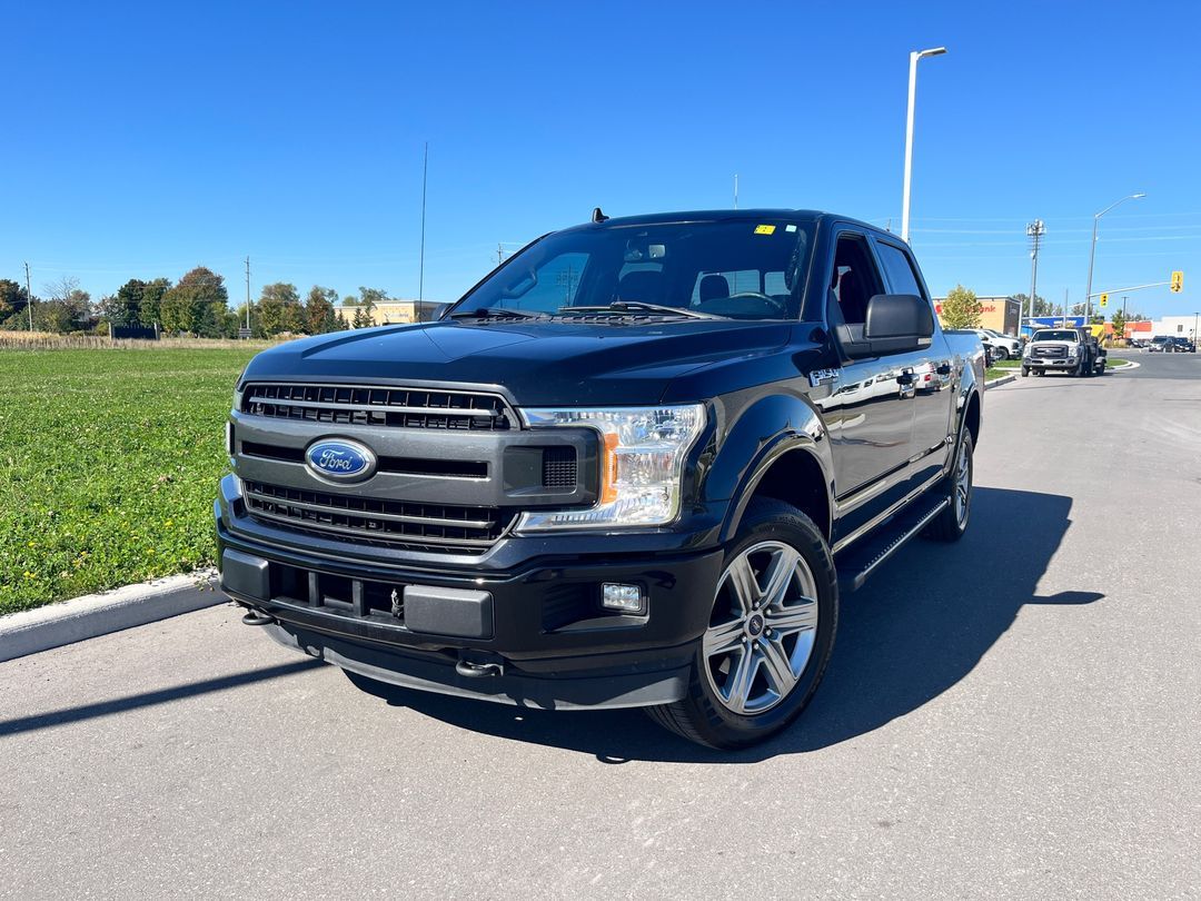 Used 2019 Ford F-150 XLT #24136A Port Perry, ON | Taylor Ford