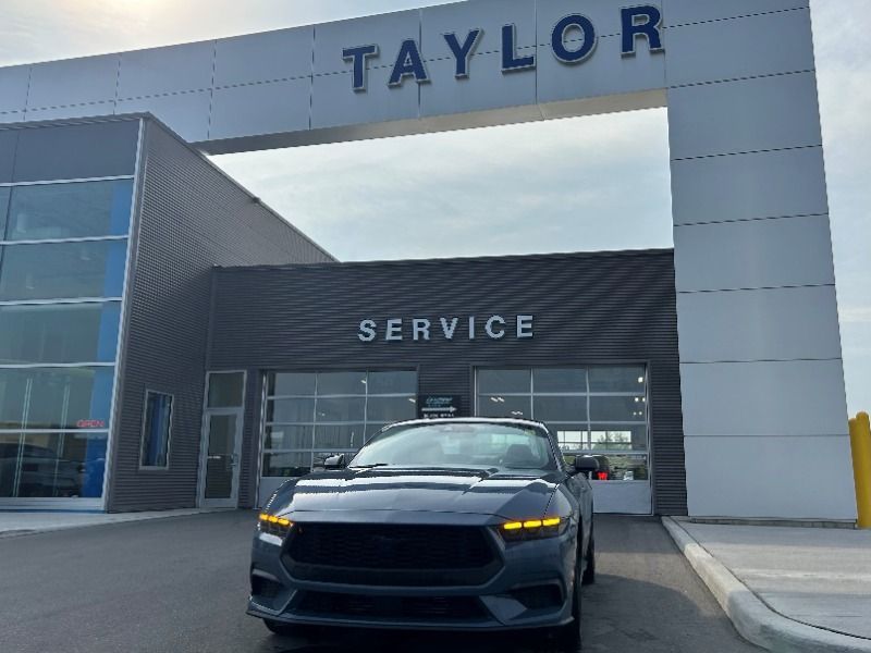 New 2024 Ford Mustang EcoBoost #024113 Port Perry, ON | Taylor Ford